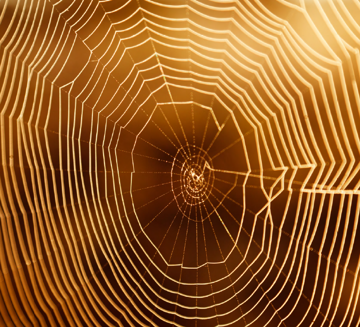 RiskRecon Assessments